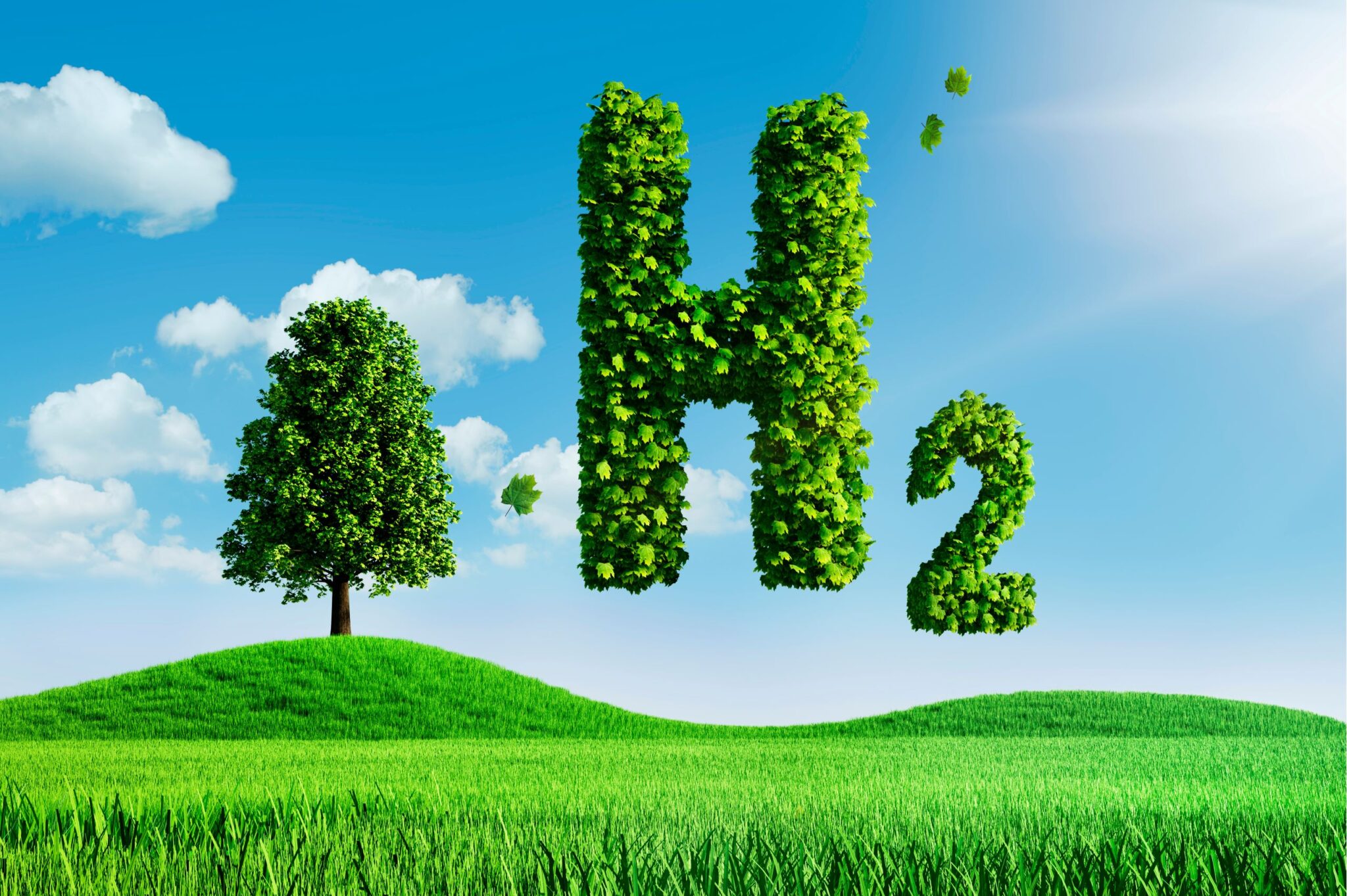 Trends in Green Hydrogen | CleanTech Capital Advisors